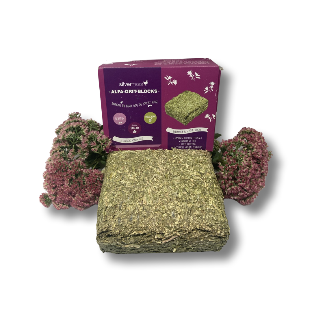 Alfalfa Grit Block Chickens to Your Door