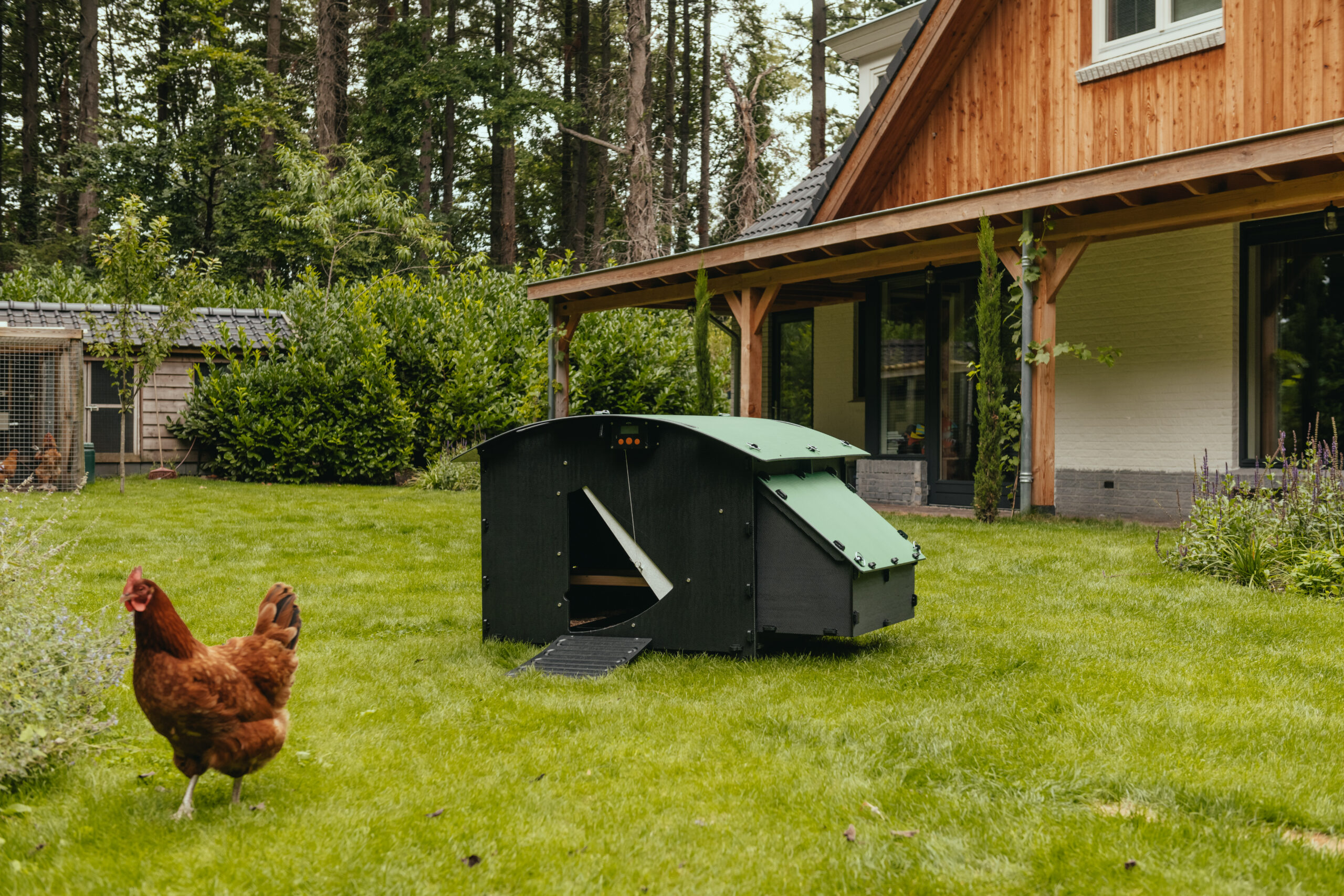 Large Ground Coop by Nestera – Chickens to Your Door